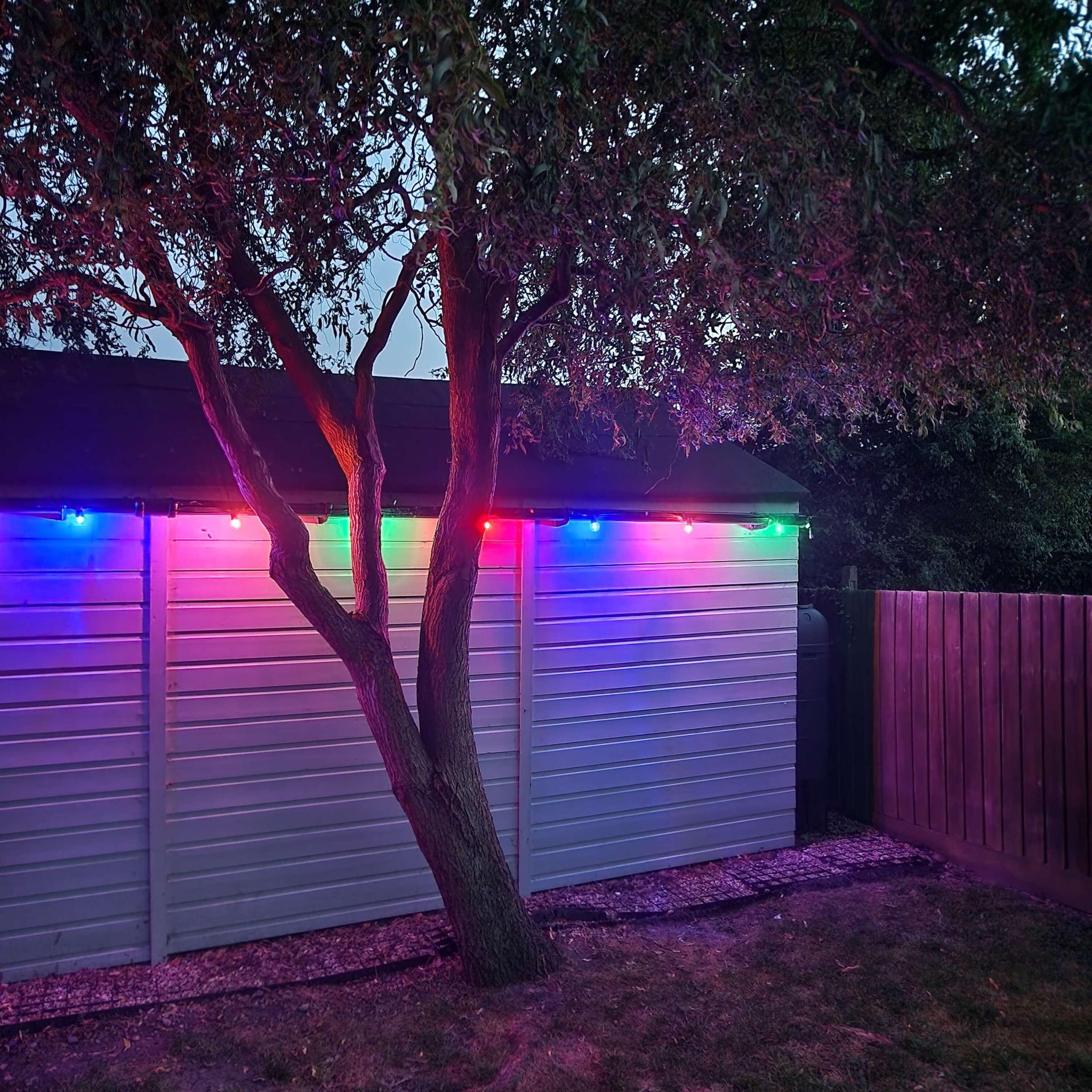 12 Pack Multi-Colour LED "Super Festoon" Shatterproof Replacement Bulb ...