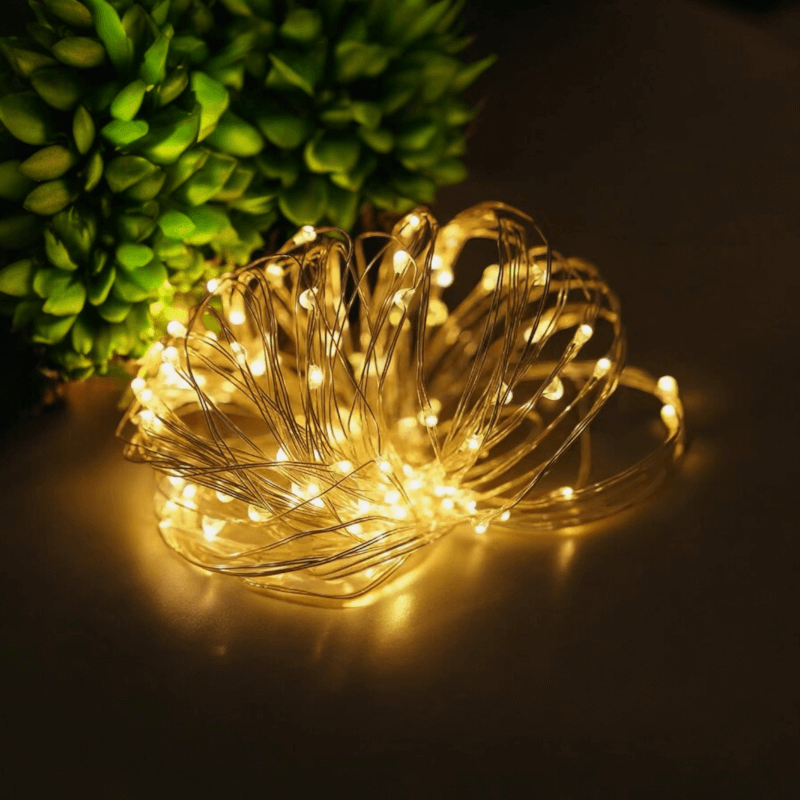 LED Indoor Micro Fairy Lights - Battery Powered – Lighting Legends