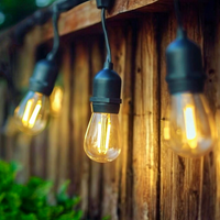 Outdoor Heavy Duty LED String Lights – Lighting Legends